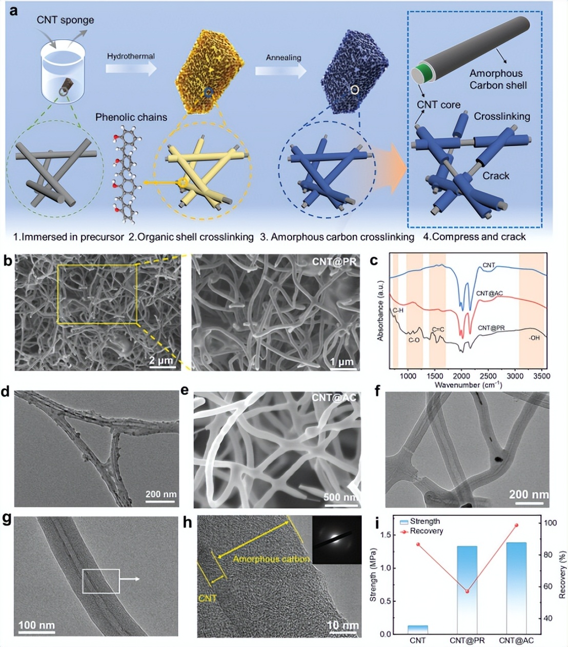 "AFM》: Superelastic, strength-tunable carbon nanotube sponge - iMedia