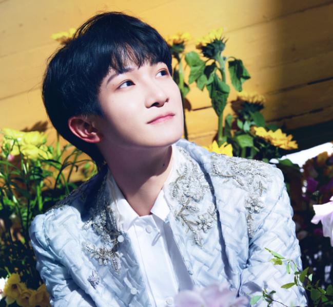 Zhou Shen won the male singer of the year, Liu Yifei, Xiao Zhan and ...