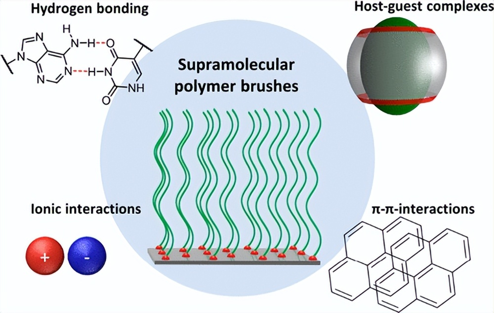 supramolecular polymer brushes - iNEWS