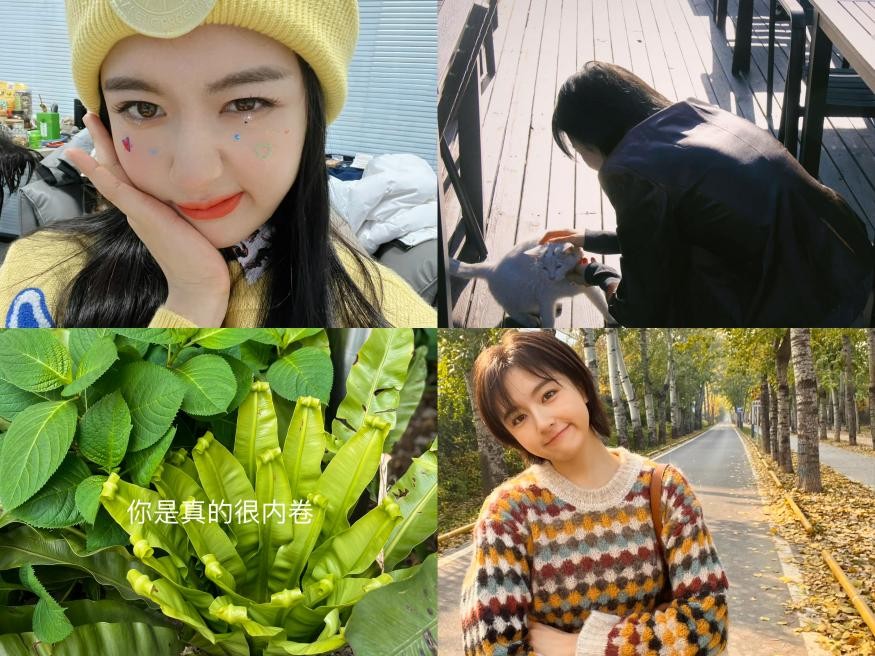 Li Landi, a girl from the neighboring family, not only impresses people ...