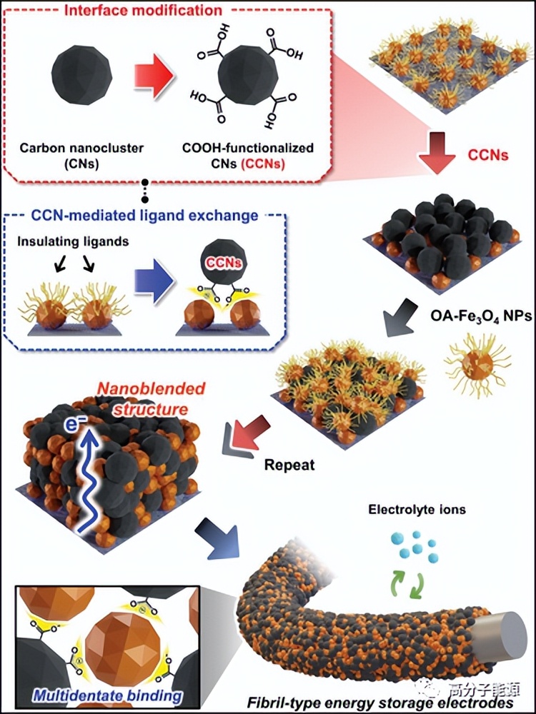 AS: High Capacity Binderless Energy Storage Electrode - iMedia