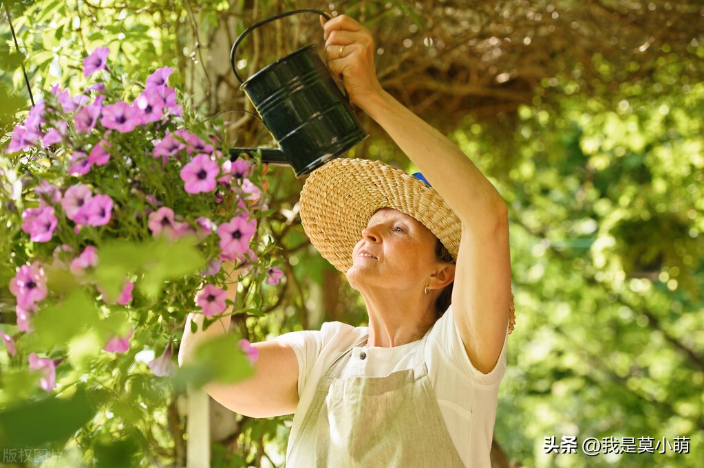 Feeling the Beauty of Life in Flowers and Plants: How to Grow Flowers ...
