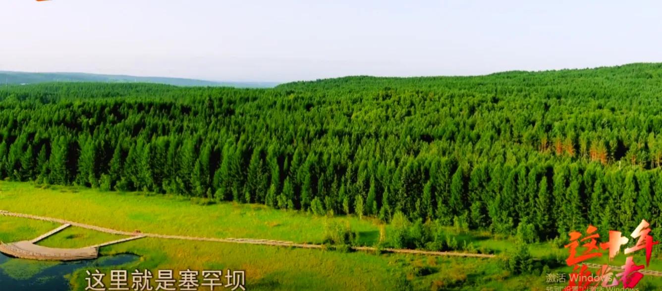 From a pine tree to ten thousand acres of forests - iNEWS