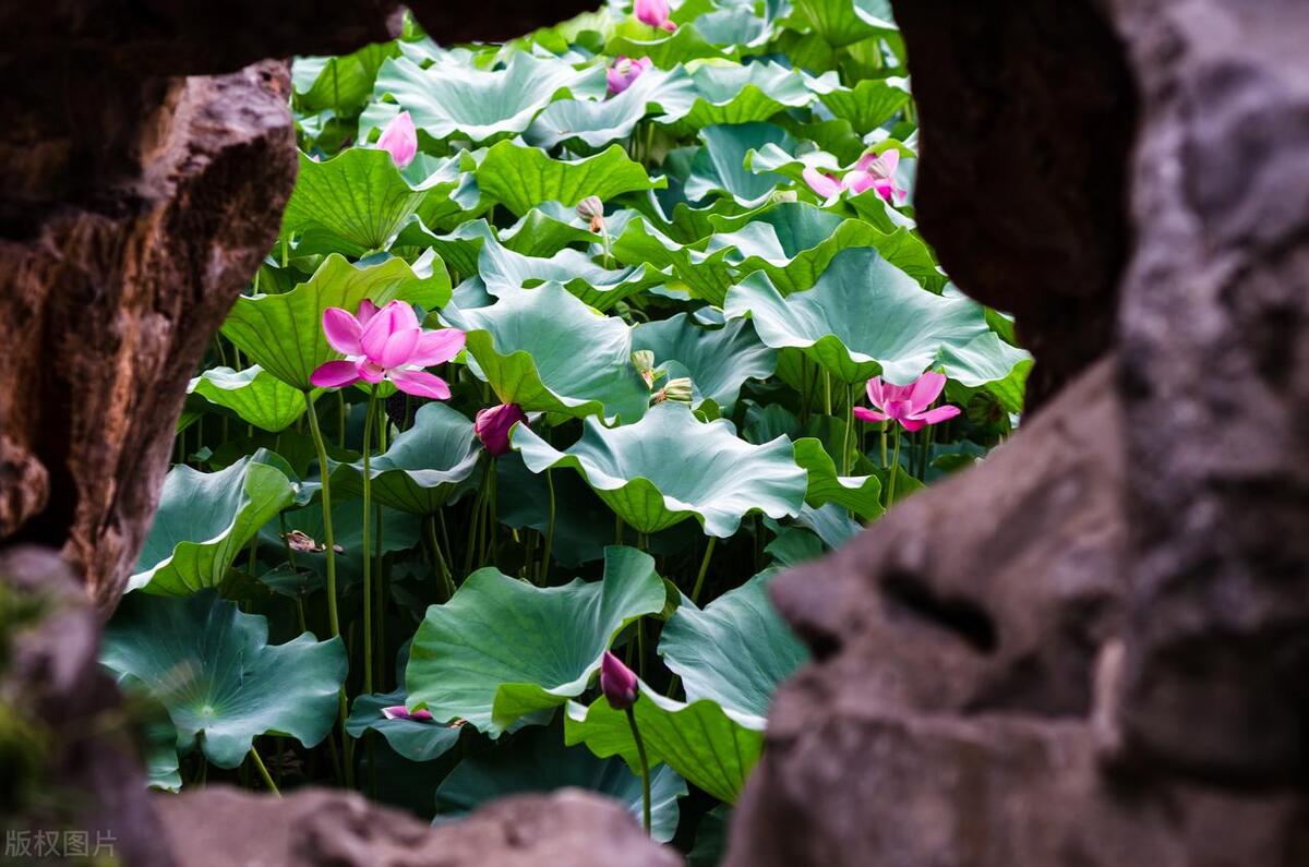 How to add beautiful photo frames to photos with mobile phones? - iNEWS