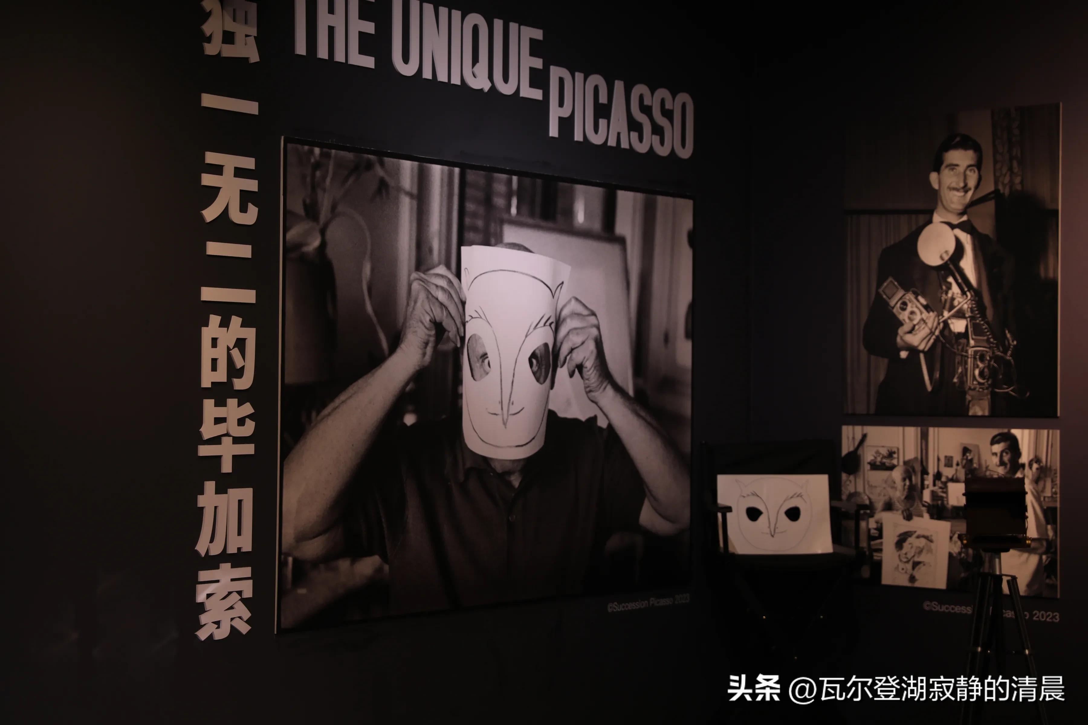"The Unique Picasso" - Wuxi Art Exhibition. - iNEWS
