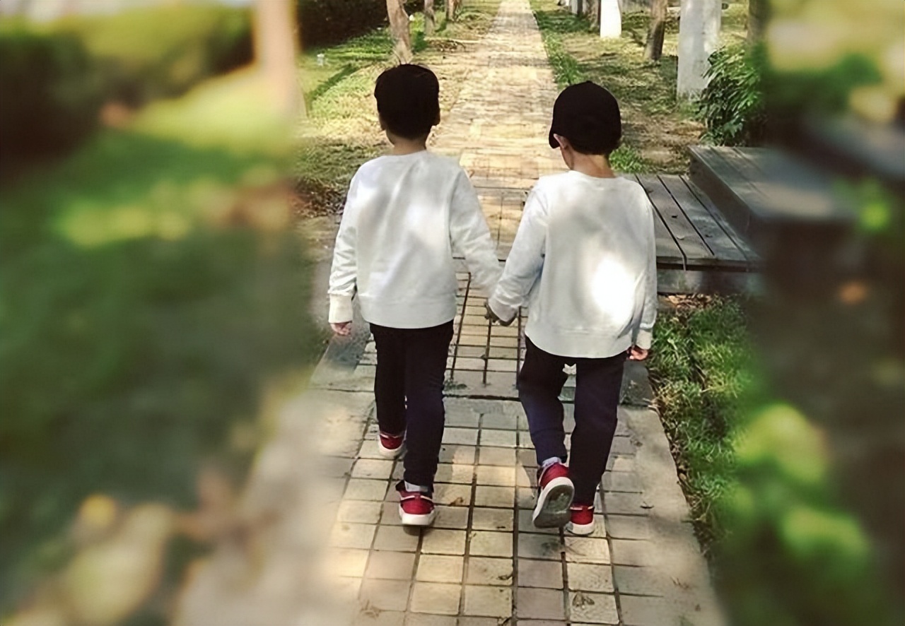 Jimmy Lin's wife Chen Ruoyi and her twin sons took a warm walk - iMedia