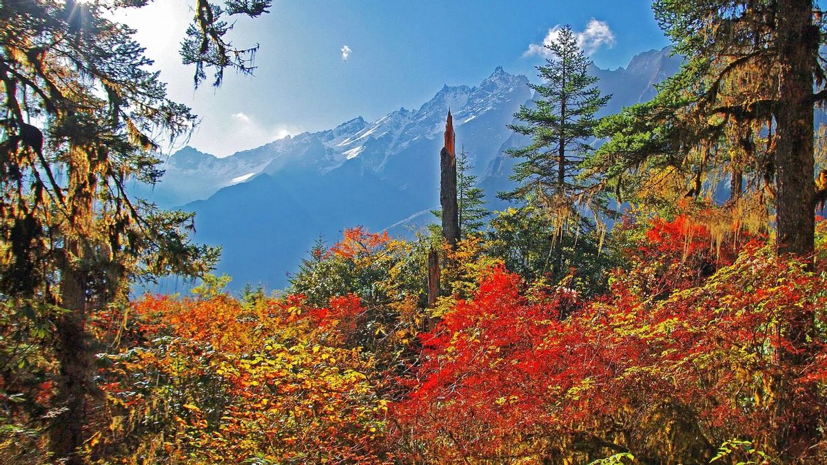 Self-driving must punch in November!These niche travel destinations are ...