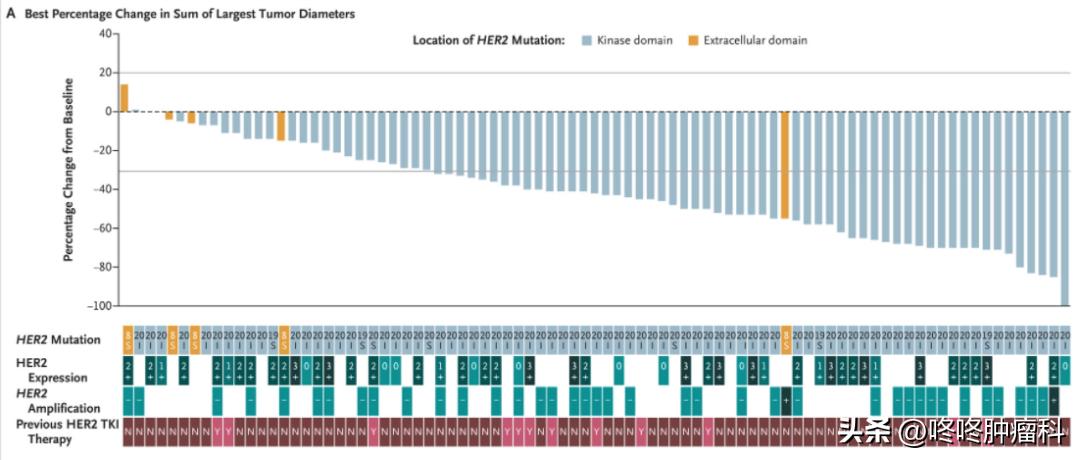DS-8201 continues to write a legend, successively won the indications ...