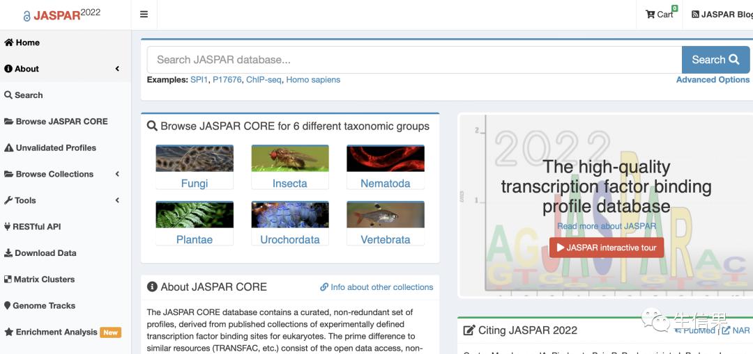 JASPAR - a database of predictable transcription factor DNA-binding protein binding recognition ...