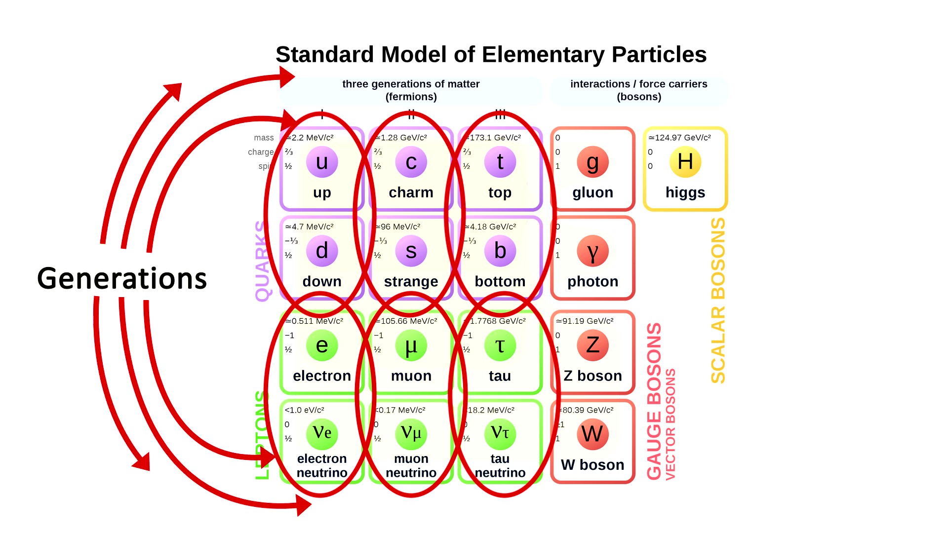 Nuclear force, spin and elementary particles - iNEWS
