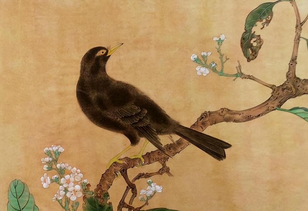 From the divine bird to the filial bird, and finally to the evil bird ...