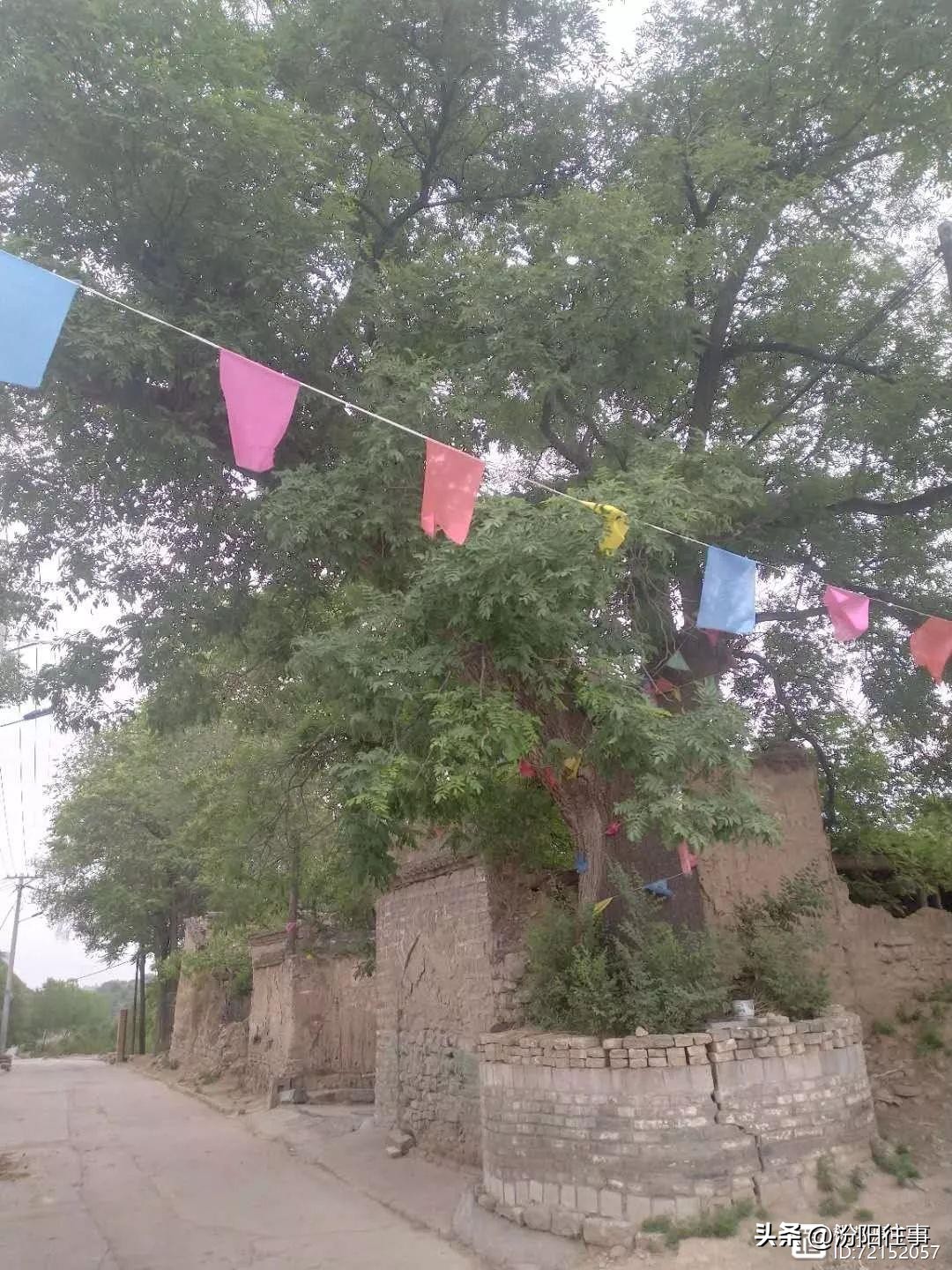 Zhang Hongbing: Travel Notes of Xiangyang Village in Fenyang - iNEWS