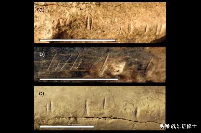 "Human cannibalism" has long been engraved into the bone marrow, and it ...