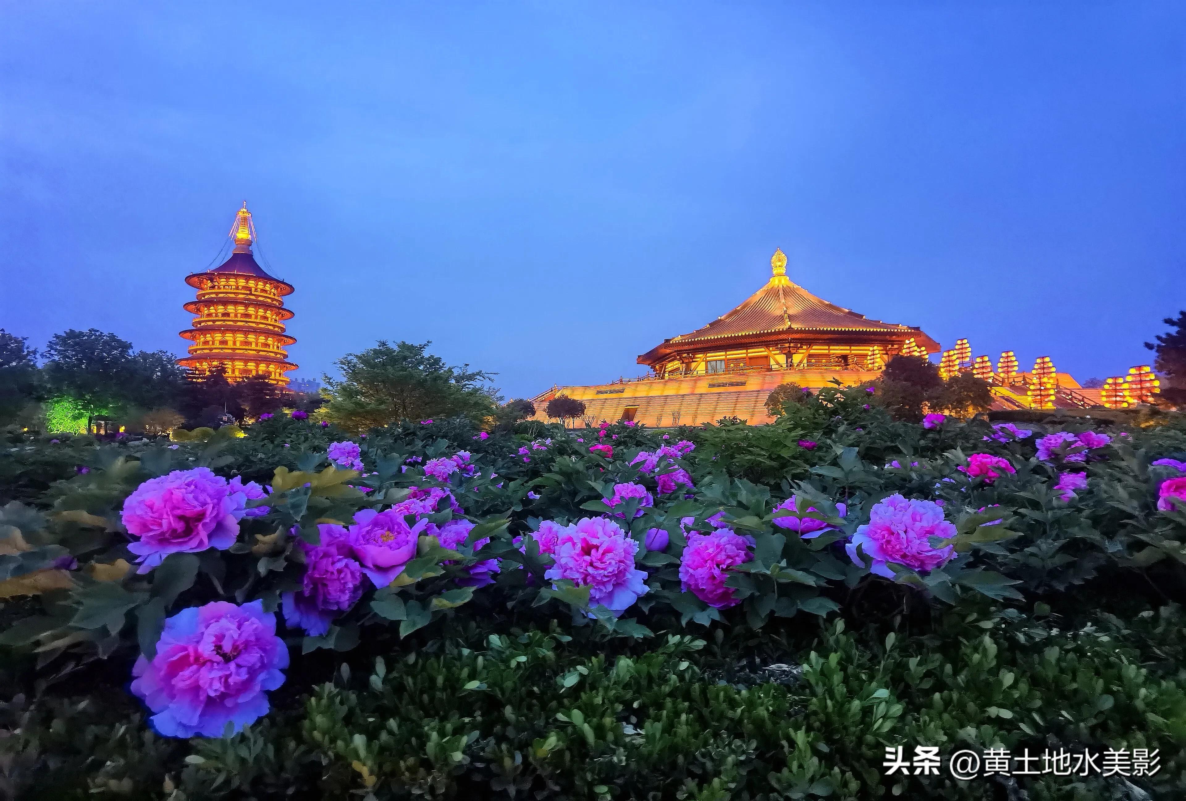 Chasing the spring breeze through the Qingming Festival, walking into ...