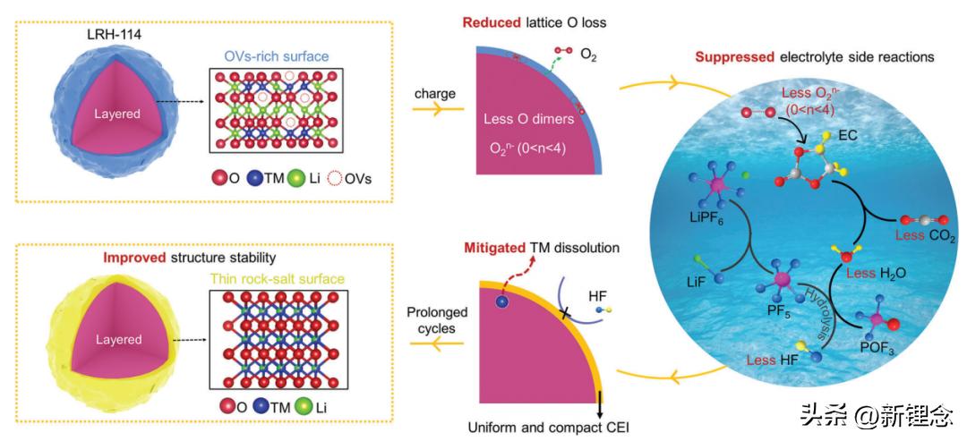 Uncovering the role of surface oxygen vacancies in stabilizing lithium ...