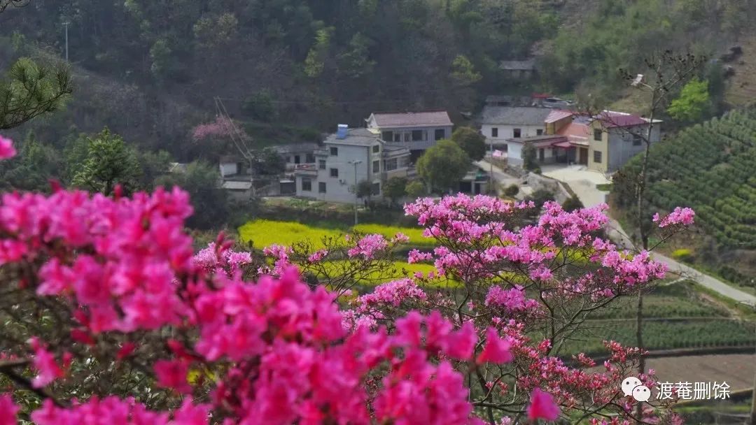 The landscape of Tongcheng Beixiang described by this great Confucian ...