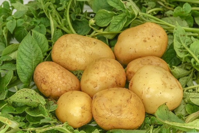 Don't let the potato paste pot anymore; teach you how to fry delicious ...