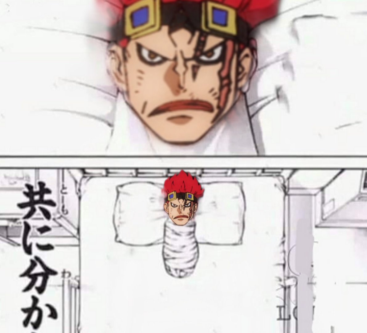 Kidd's second awakening to become a human fruit ability, Kaido's ...