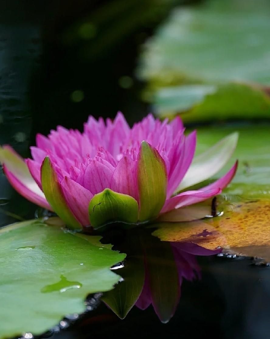 9 very classic ancient poems, each of which is magnificent and full of ...