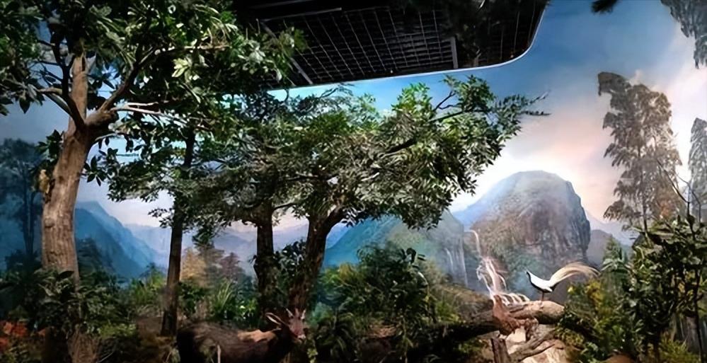 Explore the amazing truth about the earth 300 million years ago - iMedia