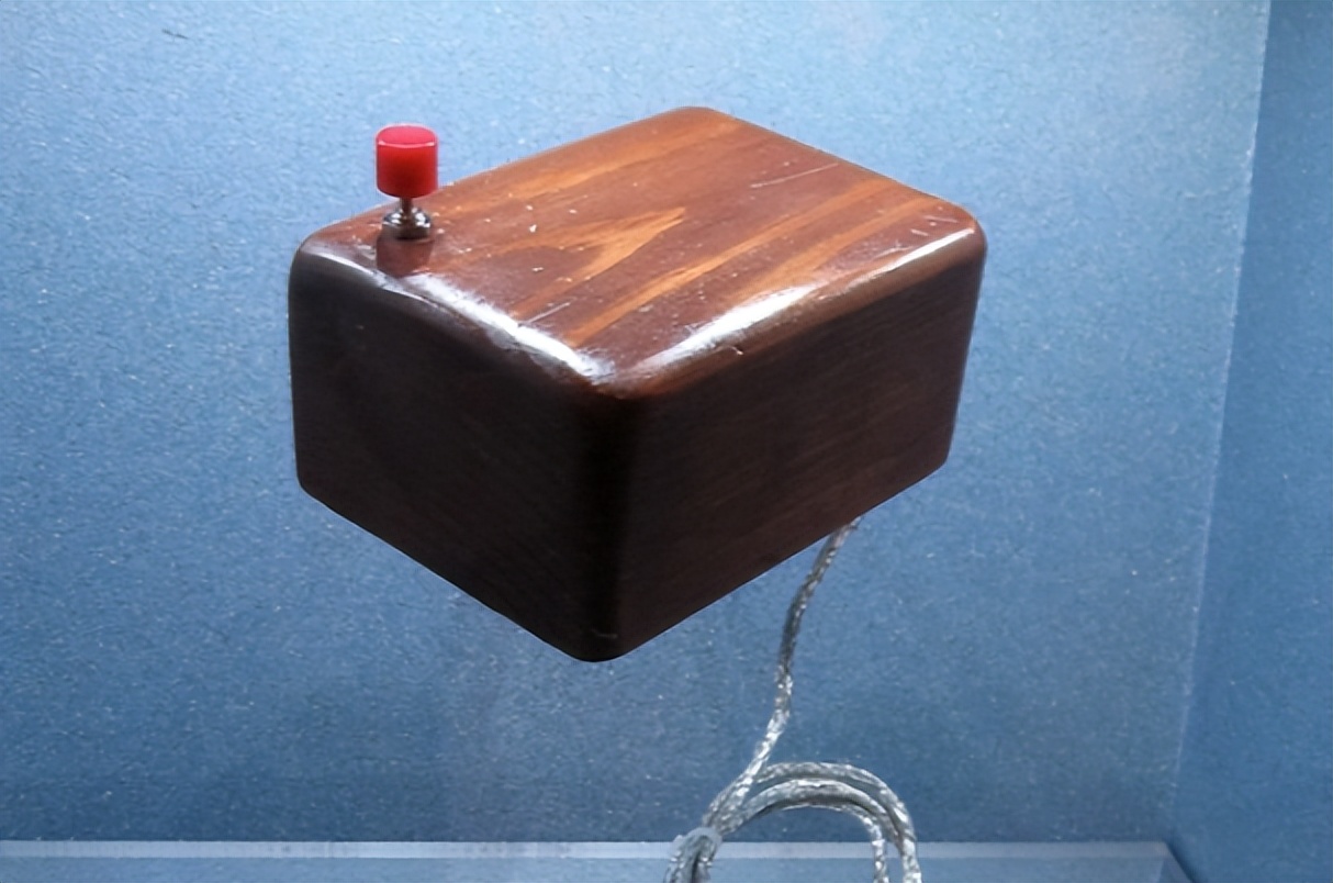 The birth and development of the mouse - iMedia