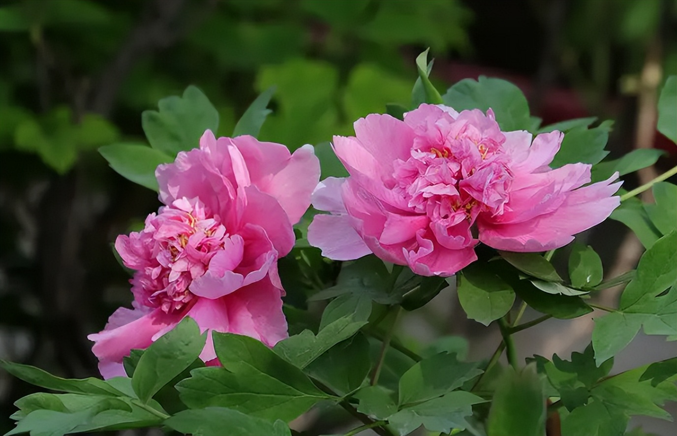 Into poetry and painting, literati and inkmen in history will be full ...