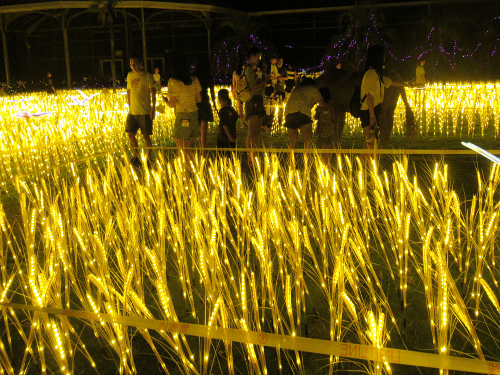 Night Tour Botanical Garden - iNEWS