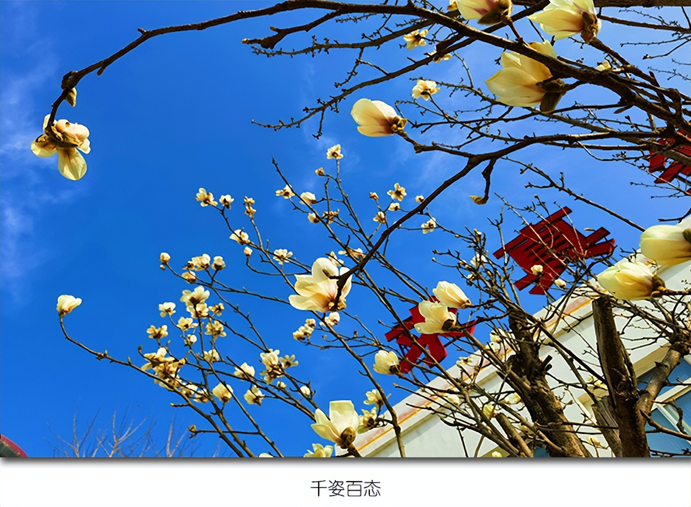 A mountain of spring cannot be hidden, the most beautiful April day in ...