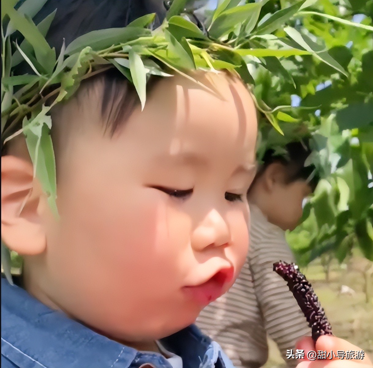 Where can I pick mulberries in Shiyan? Please keep this picking map - iNEWS