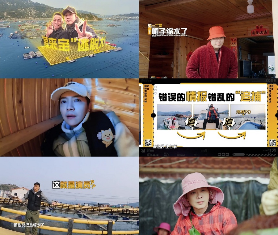 The third season of "Hahahahaha" continues to be popular, and the "cat ...