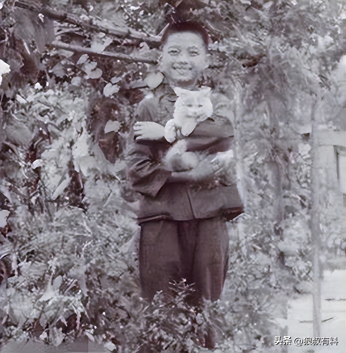 The famous talker Xiao Cui became old Cui, from "telling the truth" to ...