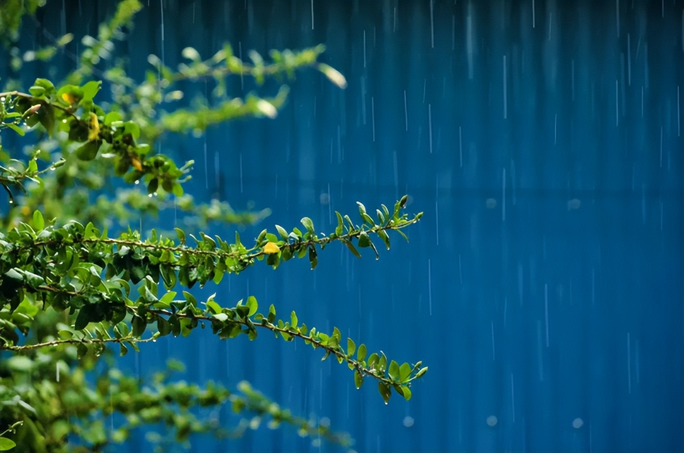 Zhuangzi: Don't live in the eyes of others, and don't live in your own ...