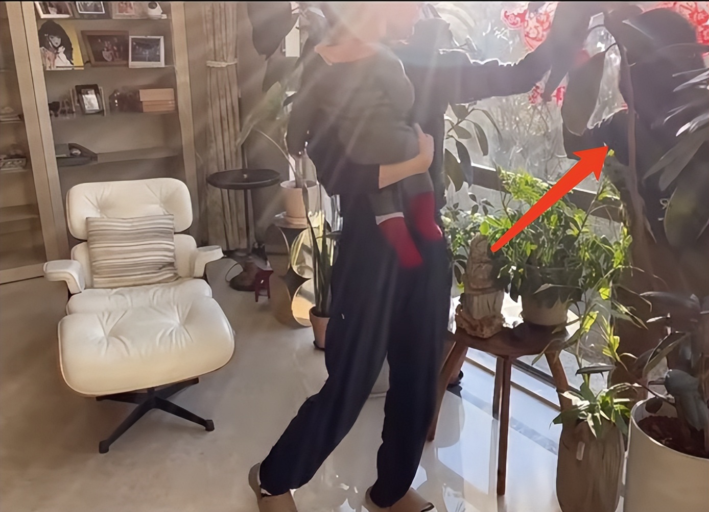 Haiha Jinxi is in the same frame as Li Yapeng's mother for the first ...