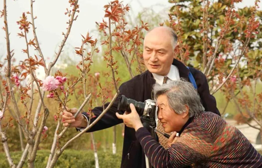 The first batch of DINKs have entered old age. After retirement, they ...