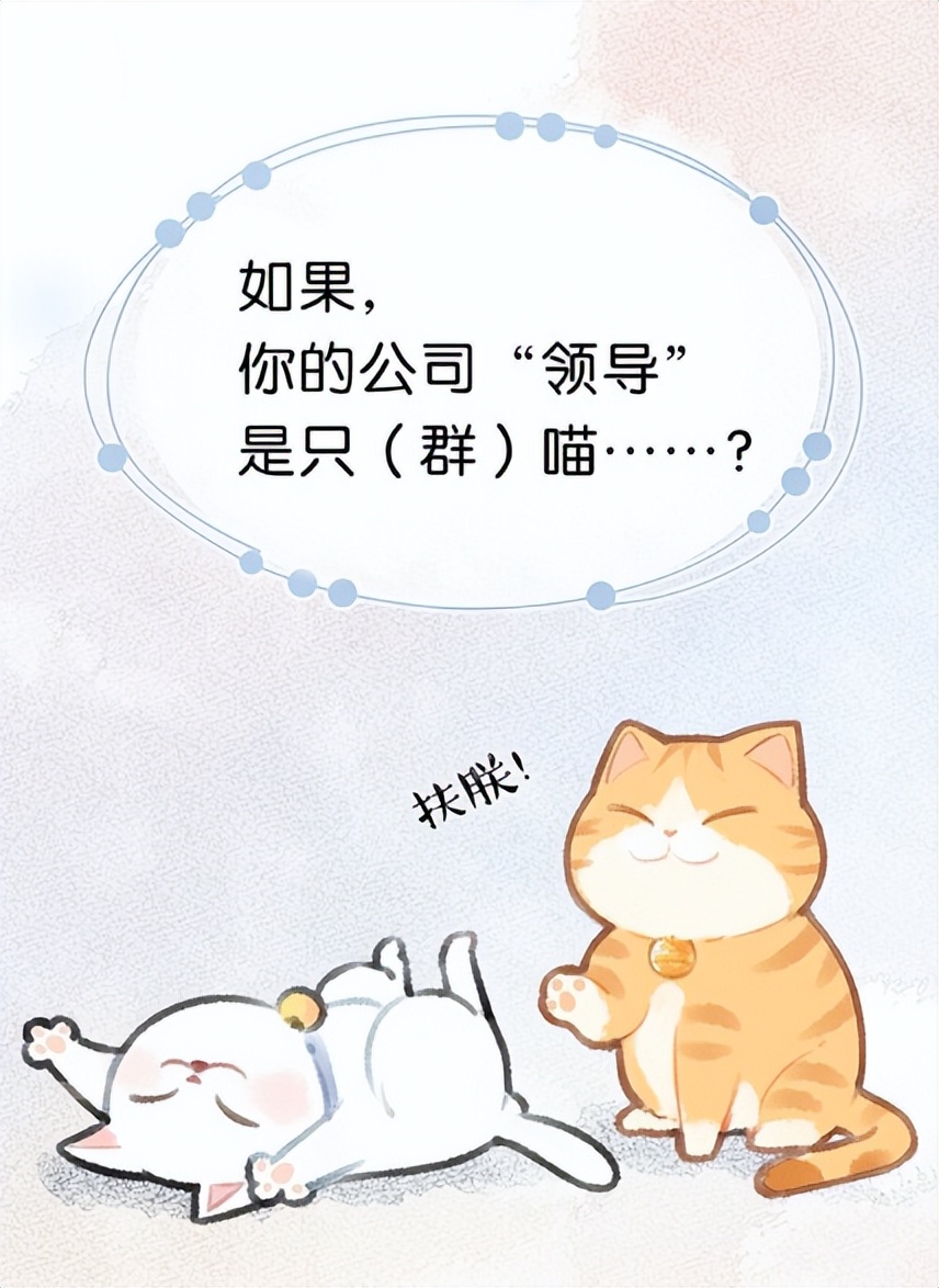 "Meow Bell" What kind of evil can a kitten have? - iNEWS