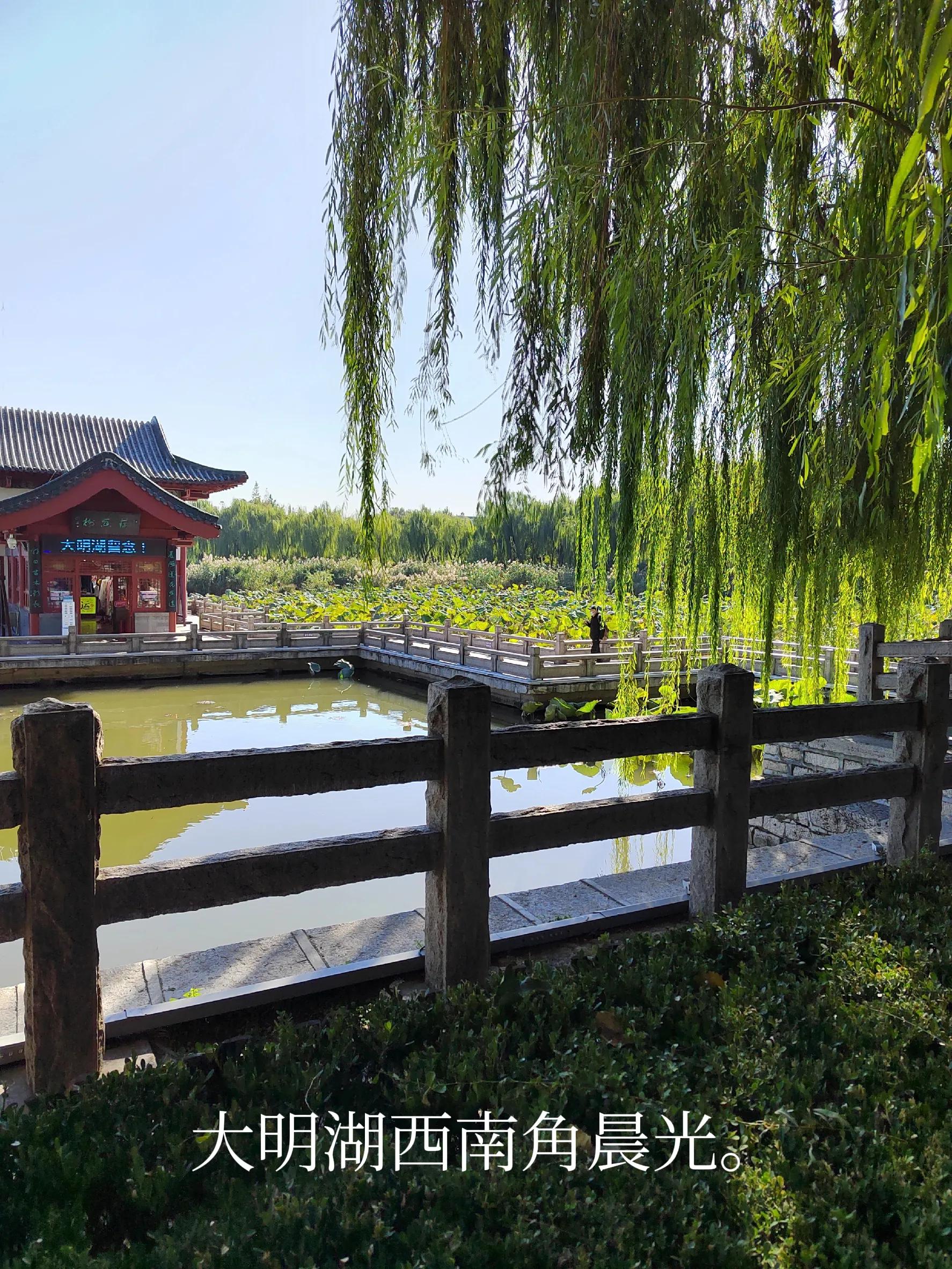 Daming Lake in late autumn morning light - iNEWS