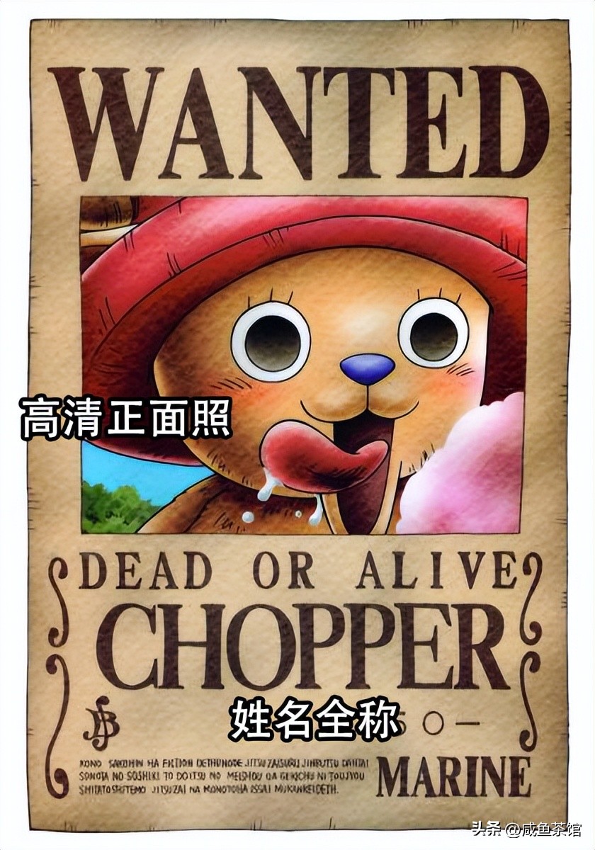 [One Piece] Full explanation of the bounty system, the rewards of the D ...