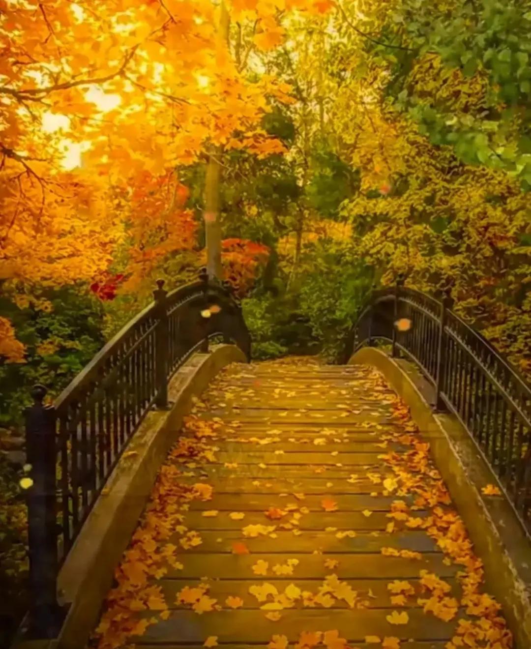 Micro-note the small window, and feel the beauty around you with your ...