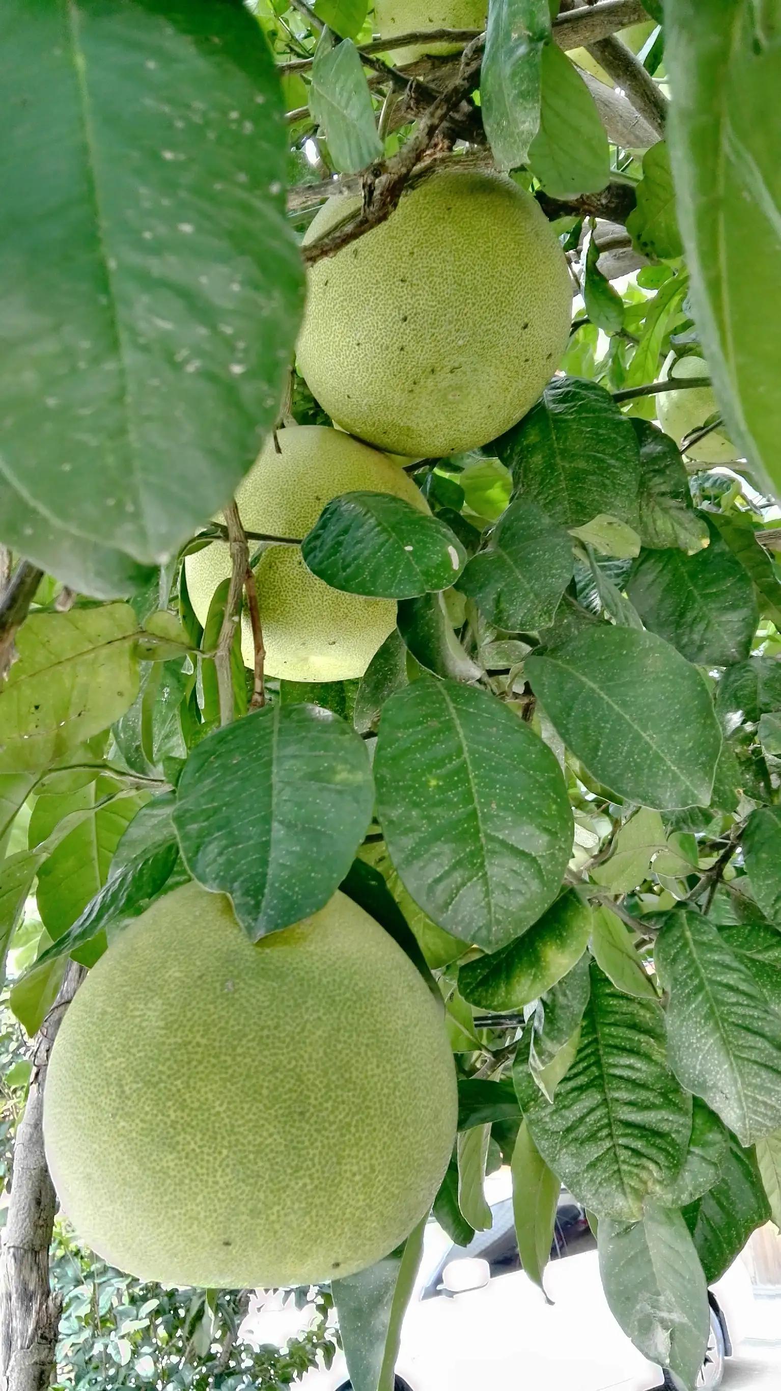 Travel Notes of Eighteen Chongxi in Fuzhou - iNEWS