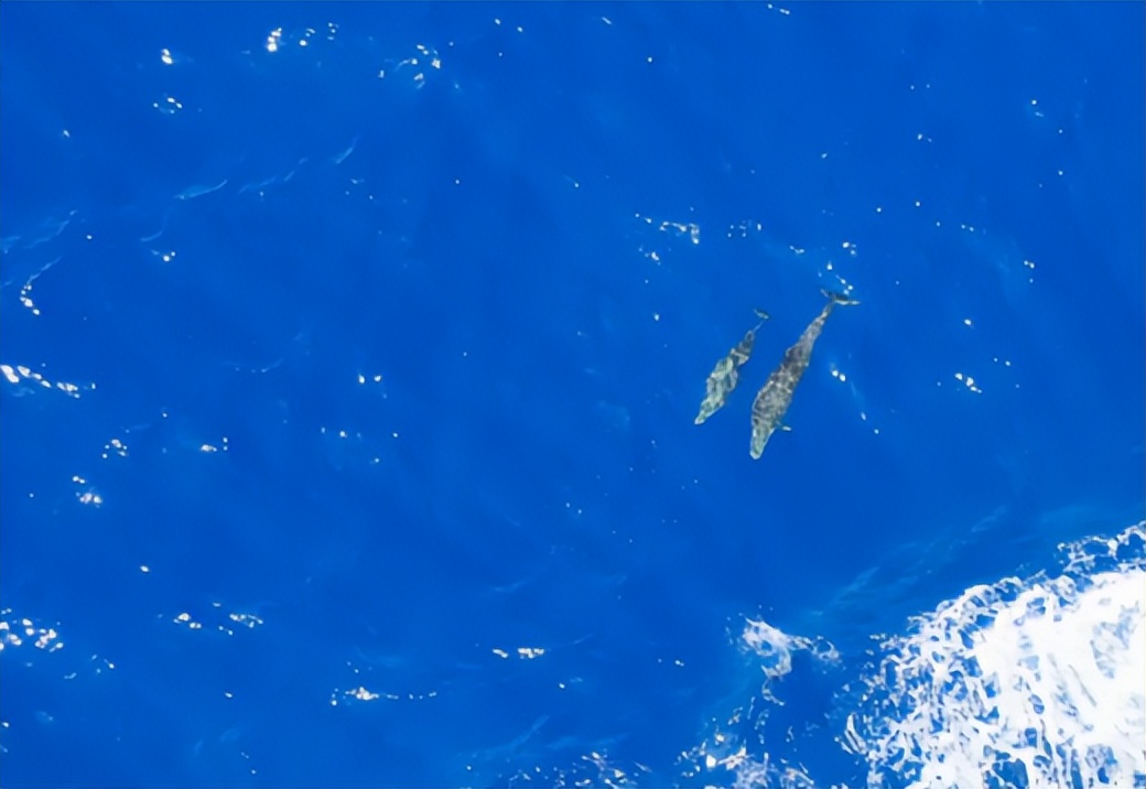 "Deep Blue" shows the impact of human activities on the natural ...