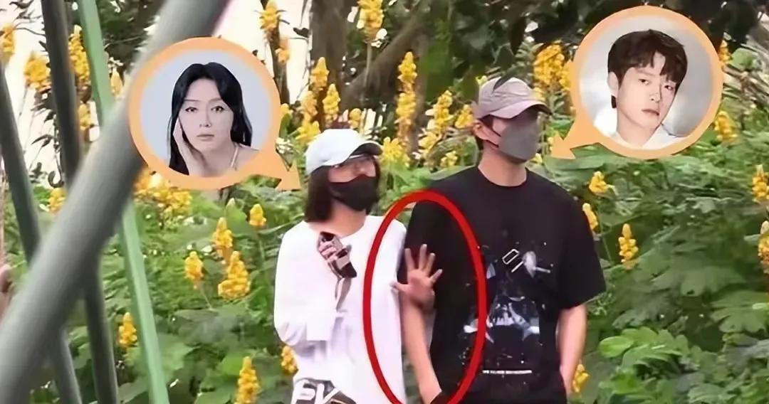 Yang Mi suspected of responding to Wei Daxun and Qin Lan's love affair, saying that he enjoys ...