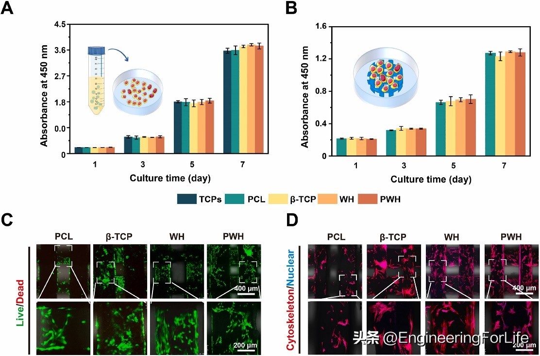Bioact. Mater.: Enhanced Bone Regeneration with Biomimetic ...