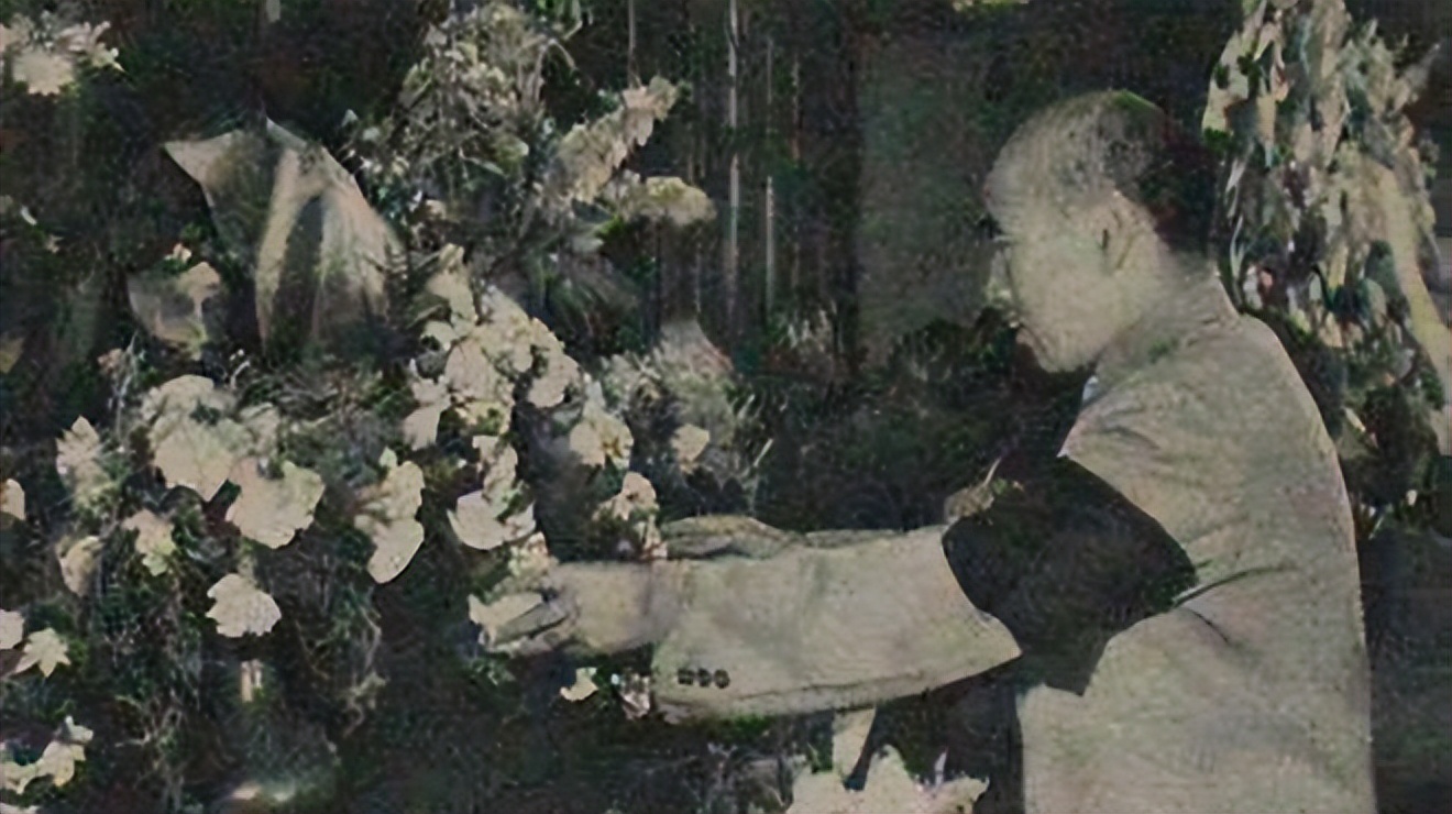 Lin Biao attended Luo Ronghuan's funeral in 1963. The two have worked ...