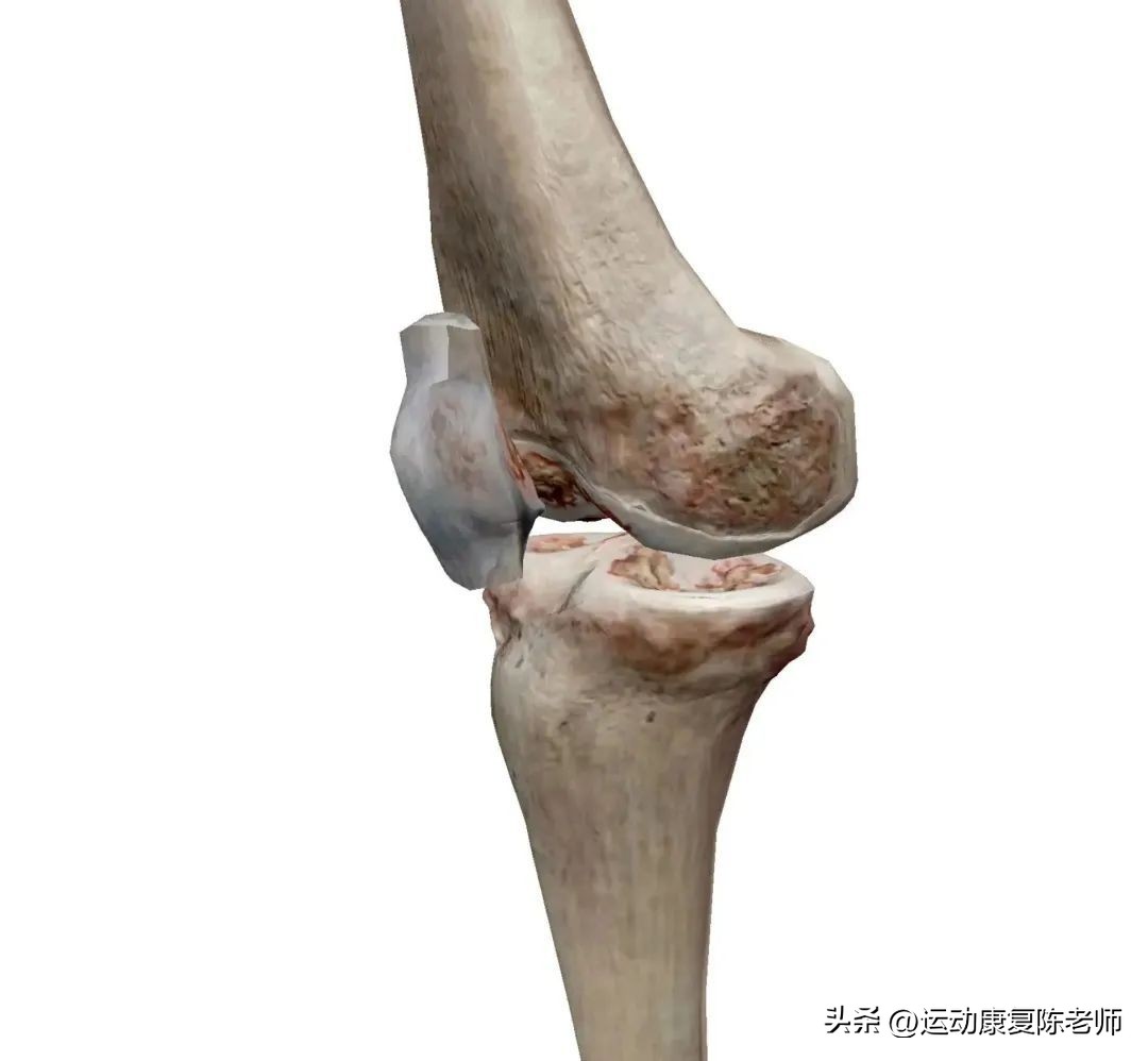 [Ruibo Rehabilitation Popular Science] Do you worry about glucosamine ...