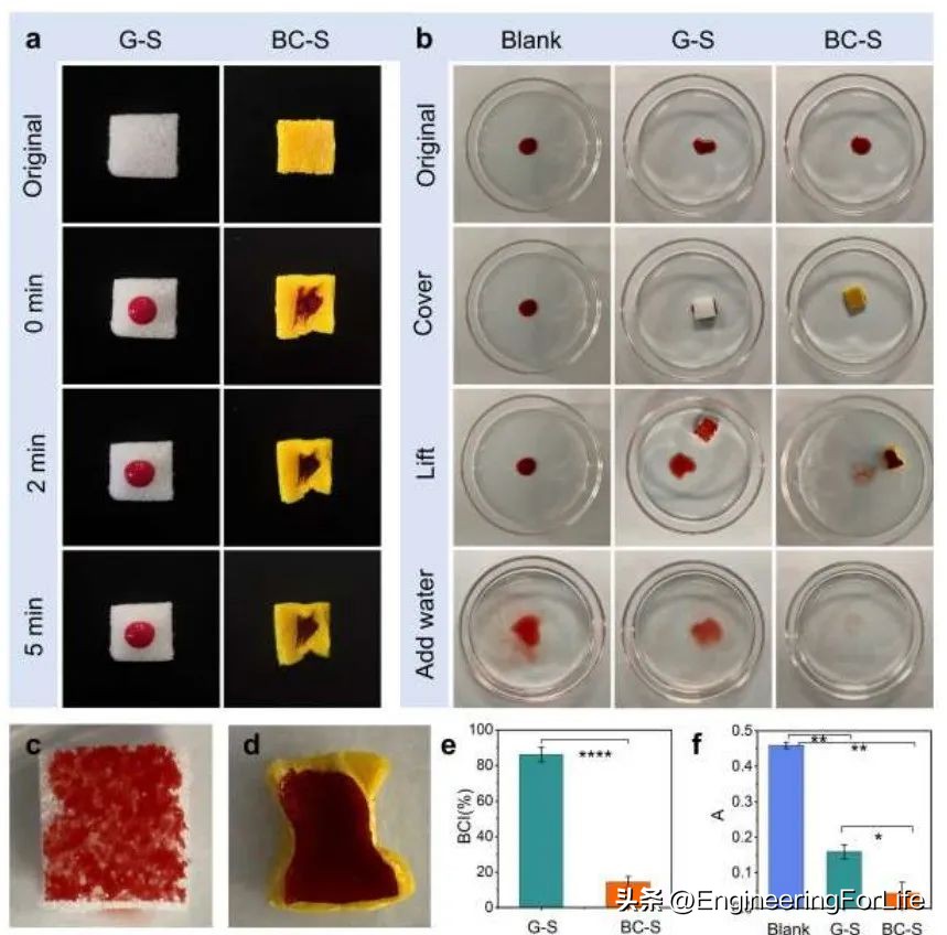 "AHM": Hierarchical porous natural self-assembled gel sponge for rapid ...
