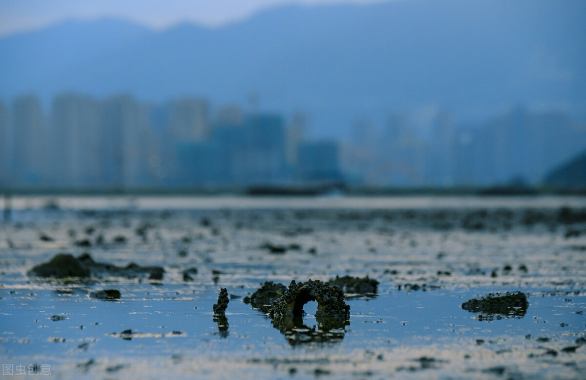 Xiapu Poems Works (Volume 178) - iNEWS