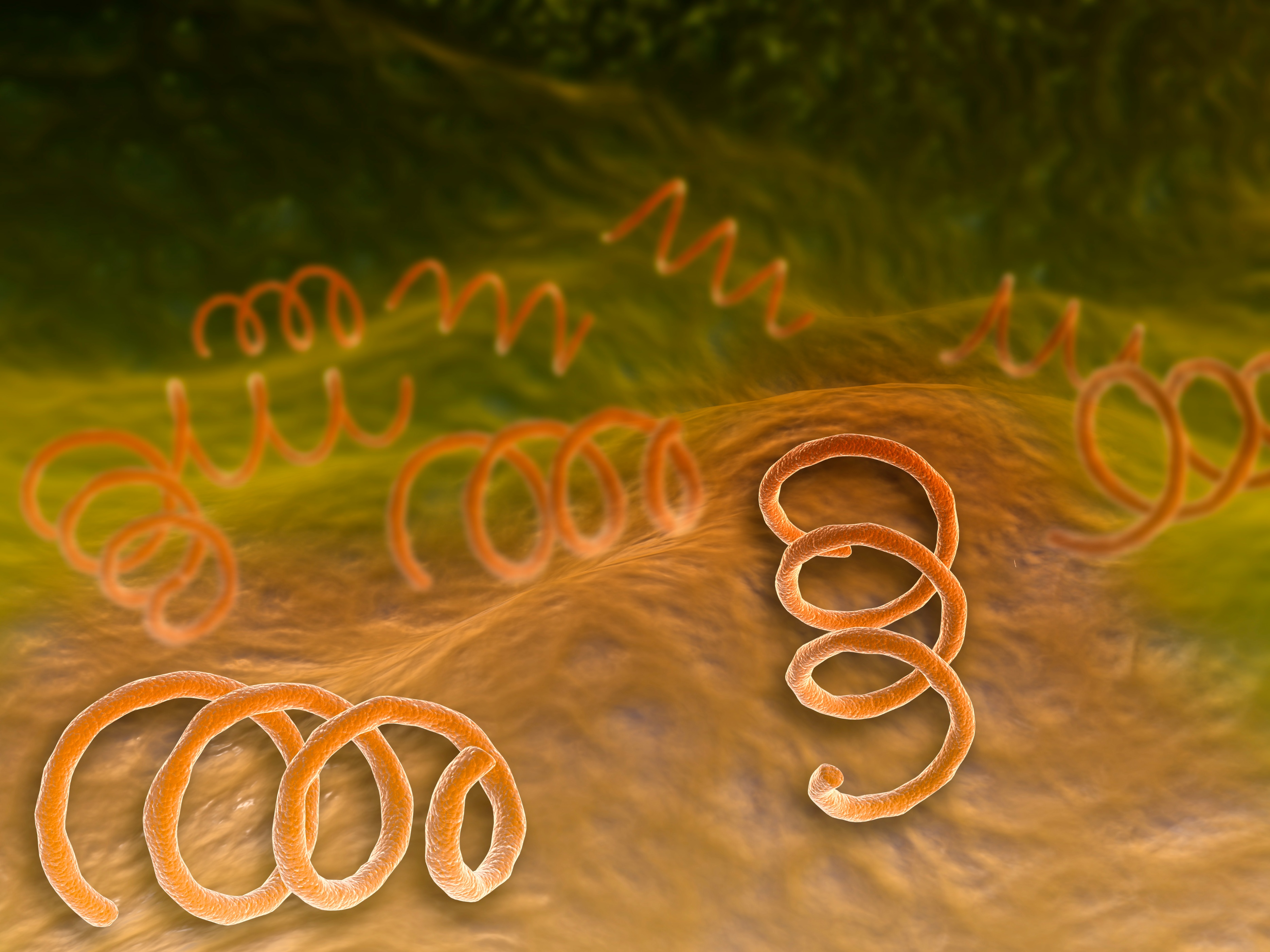 Such a rash appears on the body, be careful it is syphilis! - iNEWS