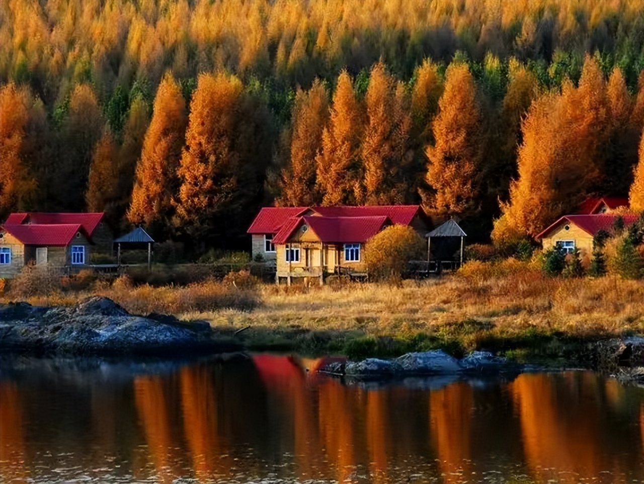 What does the autumn wind bring to the world, read a few poems about ...