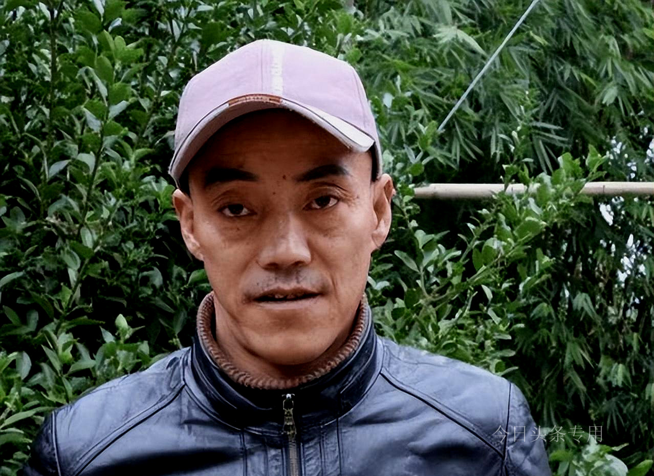 Bald Qiang Feng Jialiu: He became popular because of the bear ...