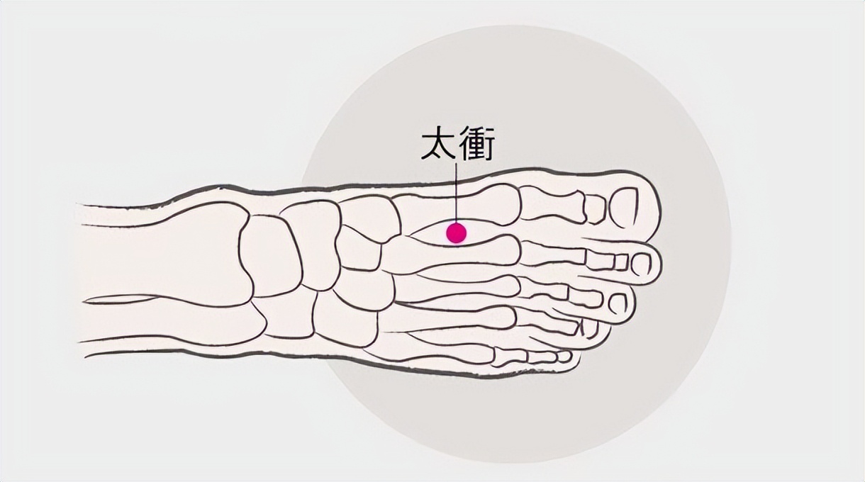 [Acupoints] There are 4 acupoints with "Chong" in the name of the human ...